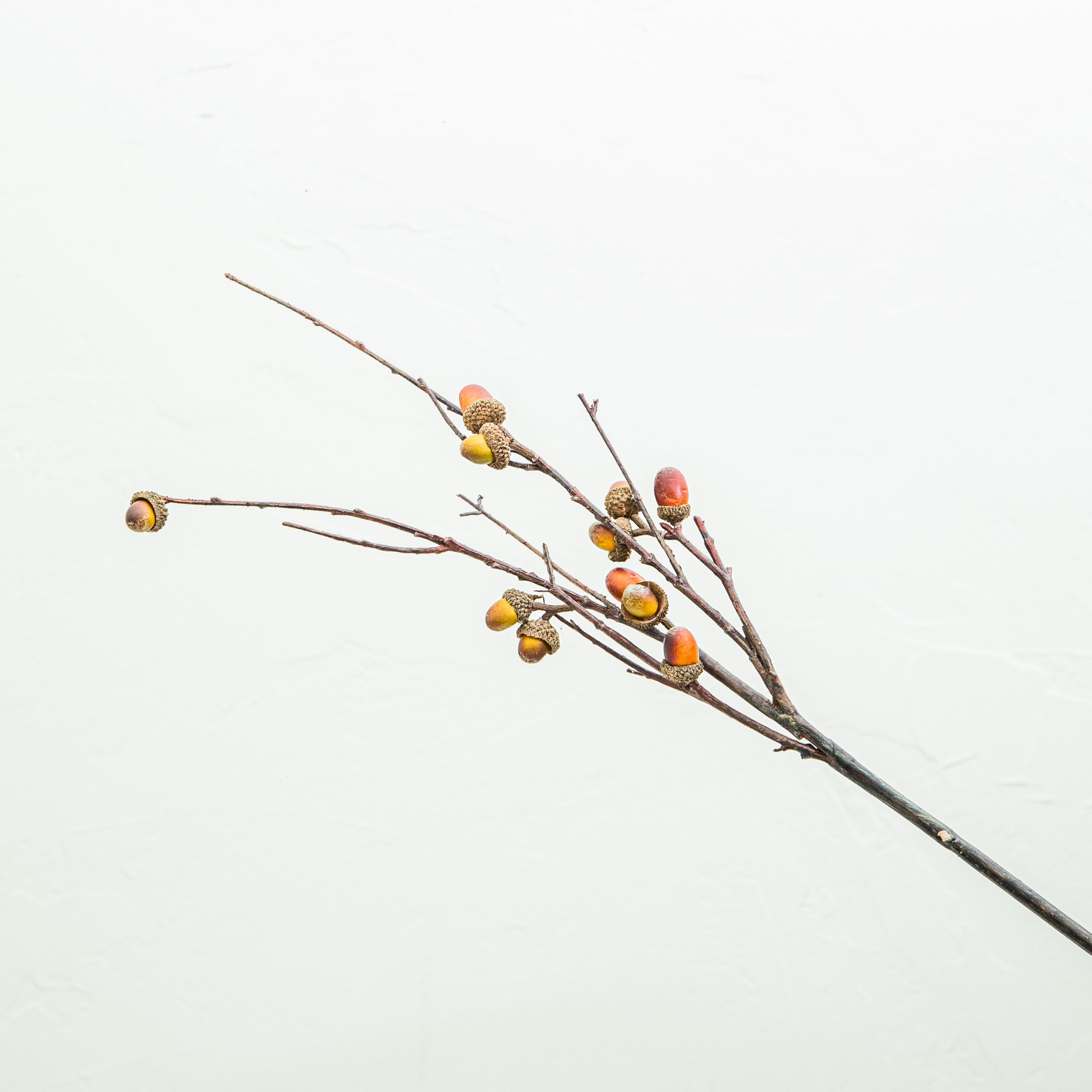 Gifts, Decor, Apparel and More | 80 Acre Market